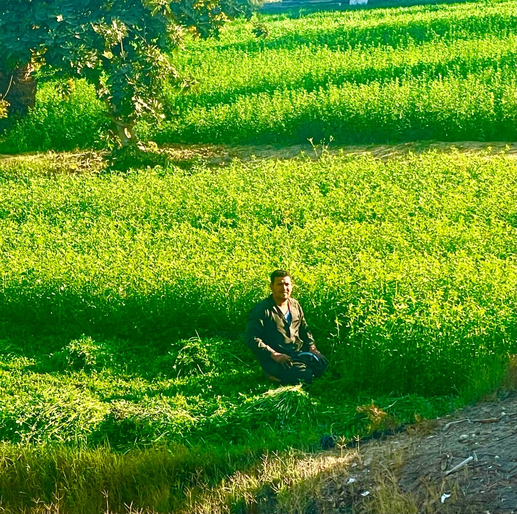 Tour D’Afrique 2023 – Leaving Luxor – Craig R. Saunders, M.D.