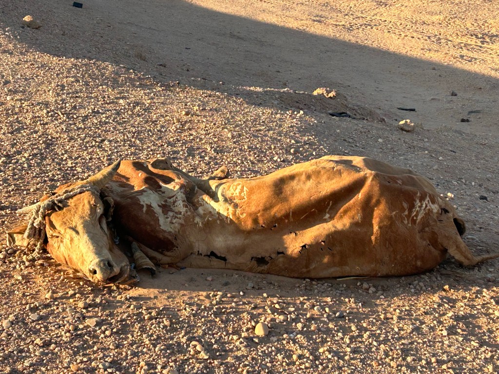 Tour D’Afrique – Sudan Part II – Craig R. Saunders, M.D.