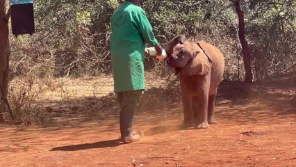 img_0594-mp4 – Craig R. Saunders, M.D.